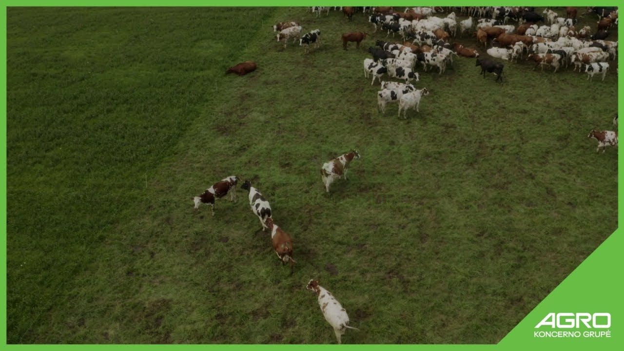 Modern Farms - Agrokoncernas