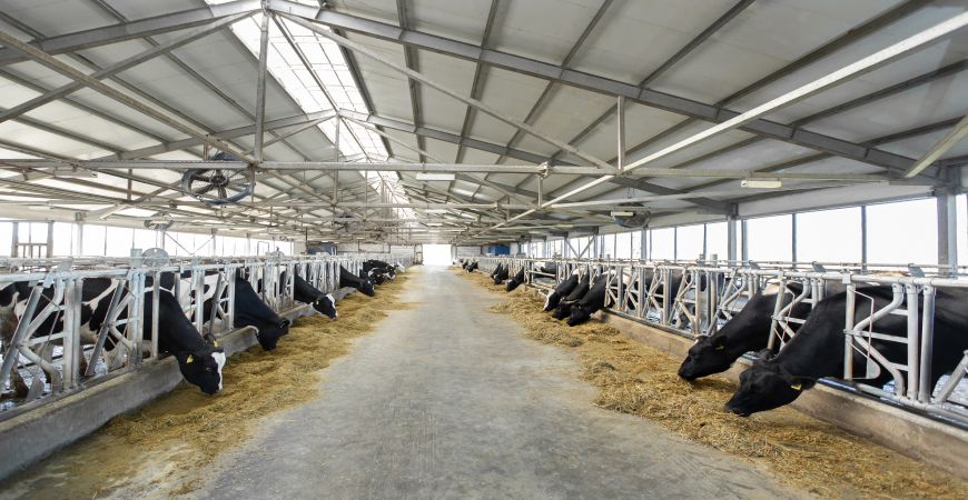 Main - Agrokoncernas